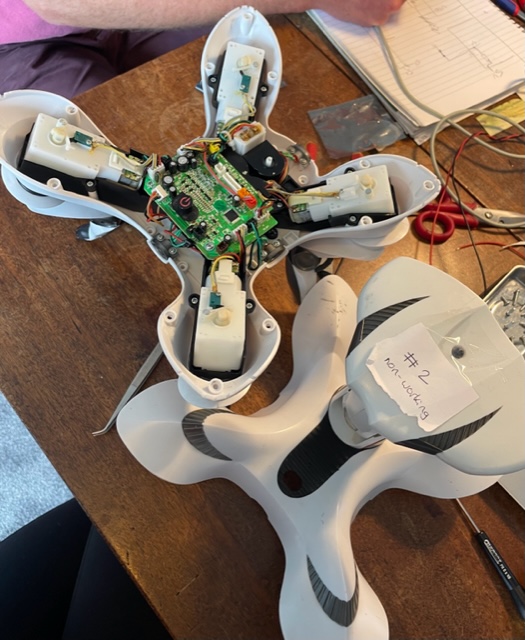 Georgia Blanco-Litchfield